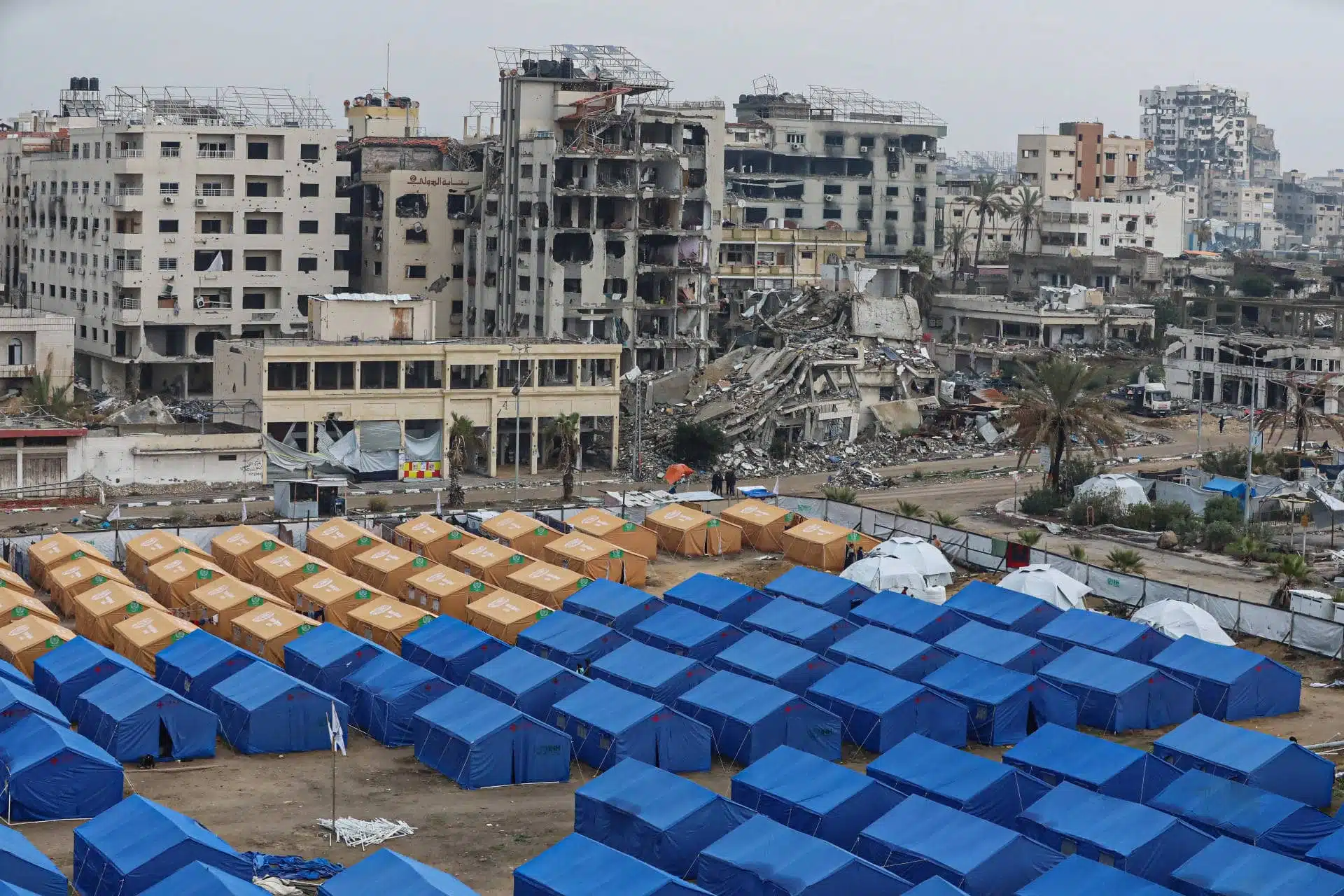 JISS-Colonel (res.) Dr. Eran Lerman: Translating Trump’s Disruptive ...